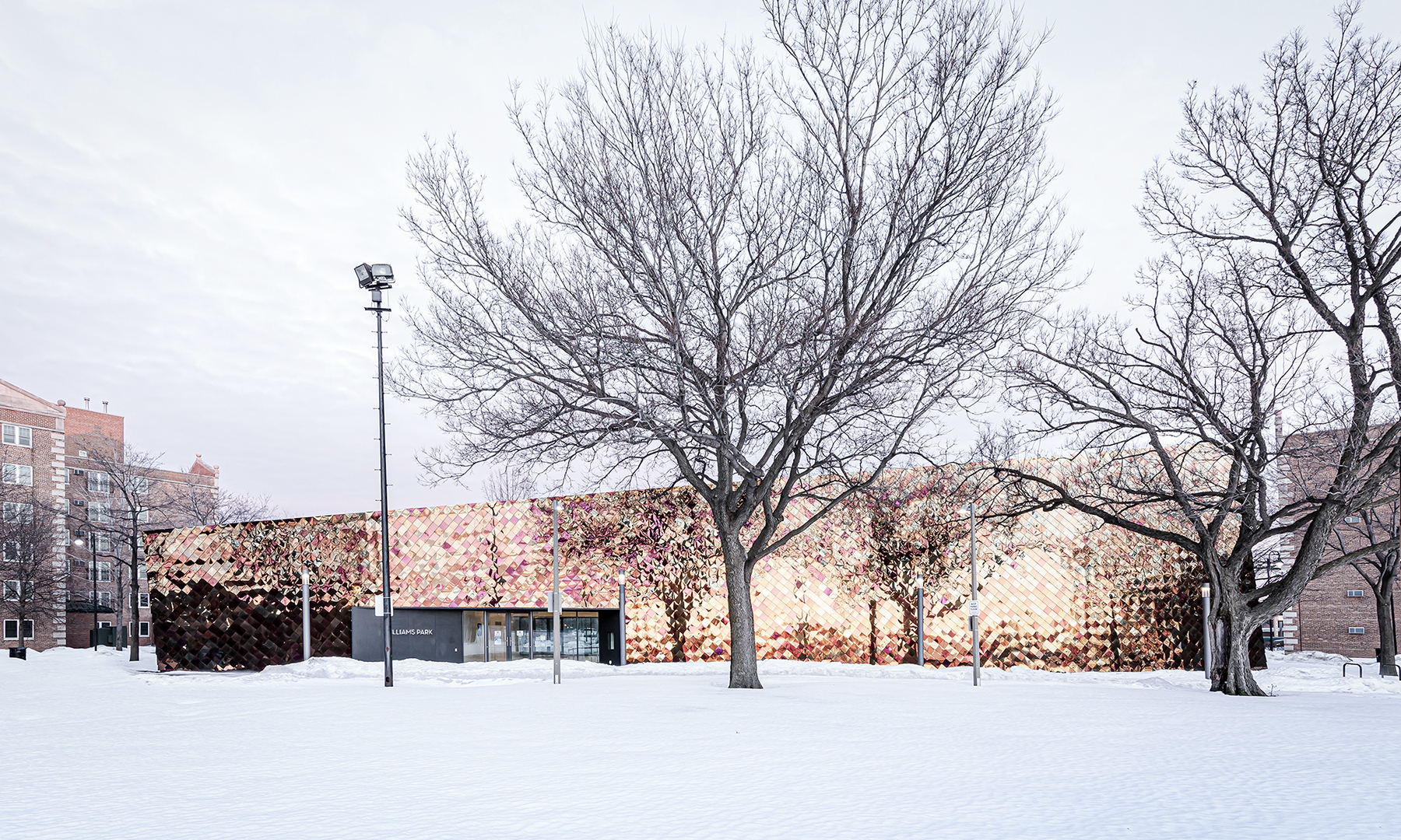 Williams Park Fieldhouse - STLarchitects